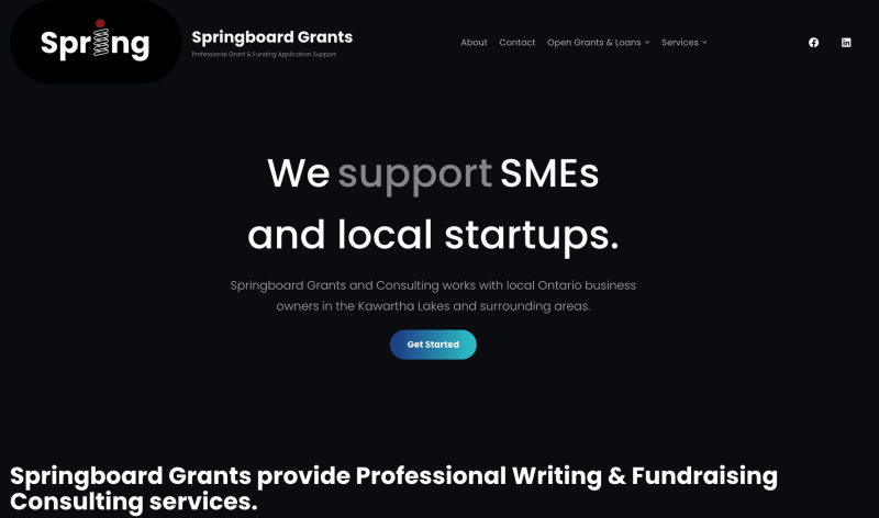 SEO & Web Performance Migration - SpringBoard Grants by lionEater™
